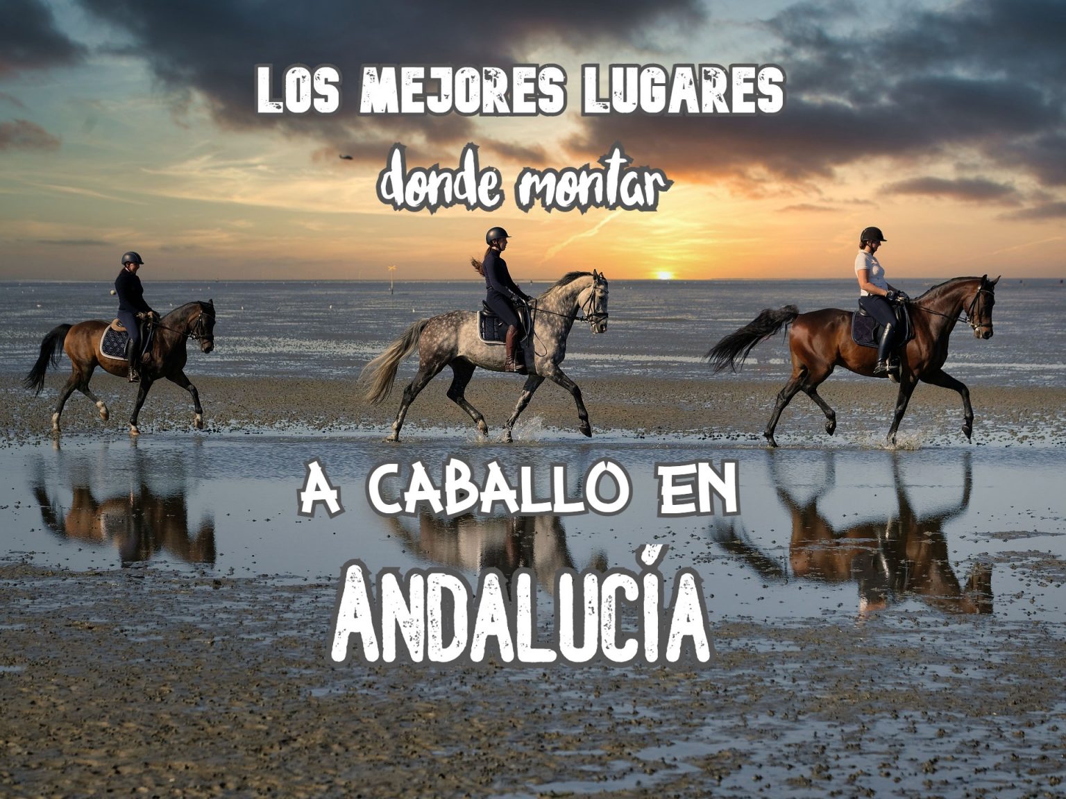 Donde montar a caballo en Andalucía y Tánger y rutas a cabllo en Sevilla.